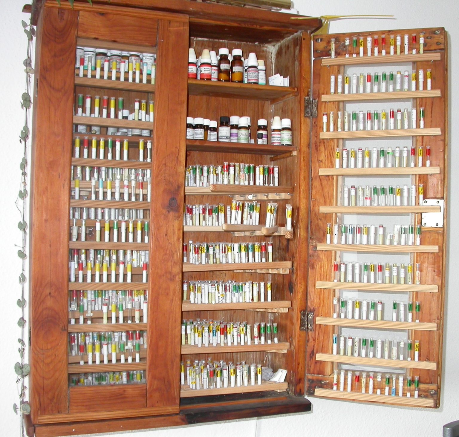 Klassische Homöopathie - Naturheilpraxis am See